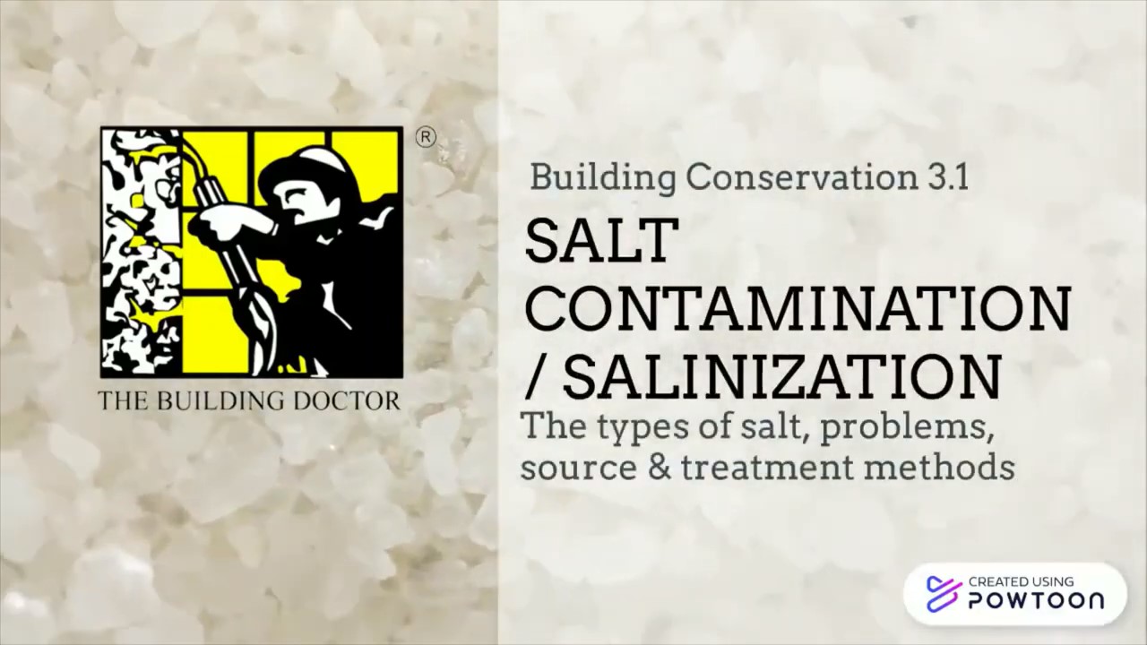 Salt Contamination & Desalination in Heritage Buildings - Structural ...