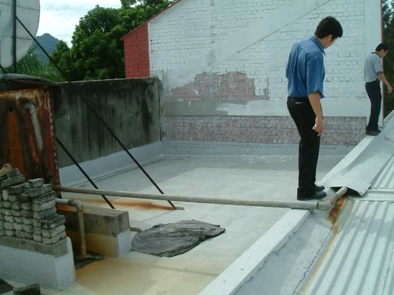 Commercial Roof Leaks: 7 Red Flags - Structural Repairs, Strengthening ...